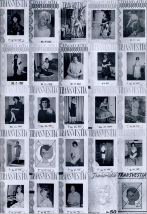 Social Groups and Sororities United the L.A. Trans Community of the ...