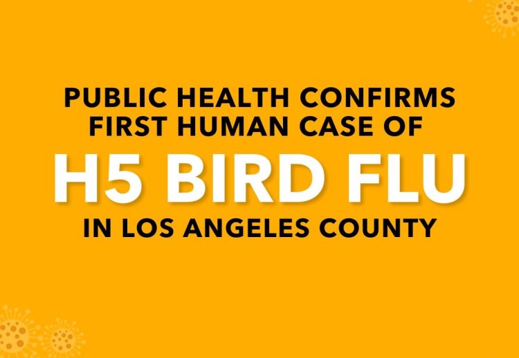 First Human Case of H5 Bird Flu Confirmed in Los Angeles County - The ...